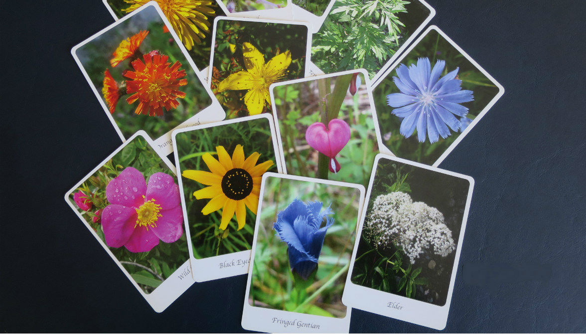 Plant Cards – Earth Medicine